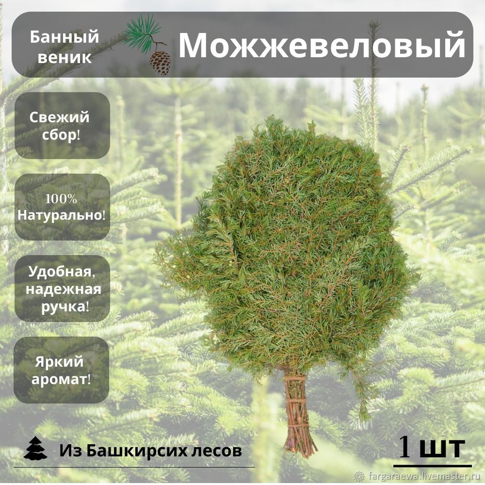 Веник для бани можжевеловый 1 штука в интернет-магазине на Ярмарке ...