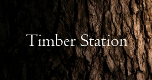 Магазин мастера Timber Station (timber-station) на Ярмарке Мастеров ...