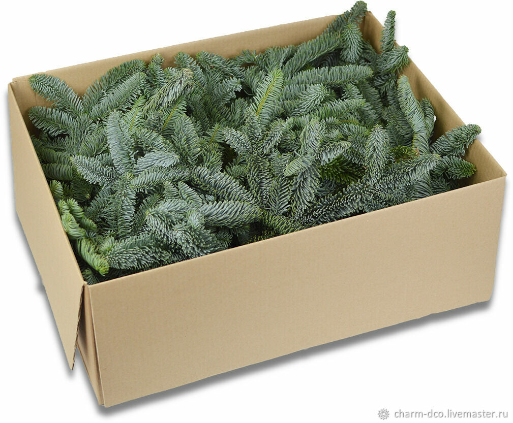 Нобилис 3кг. натуральный ( лапки без центральных веток) – купить на ...