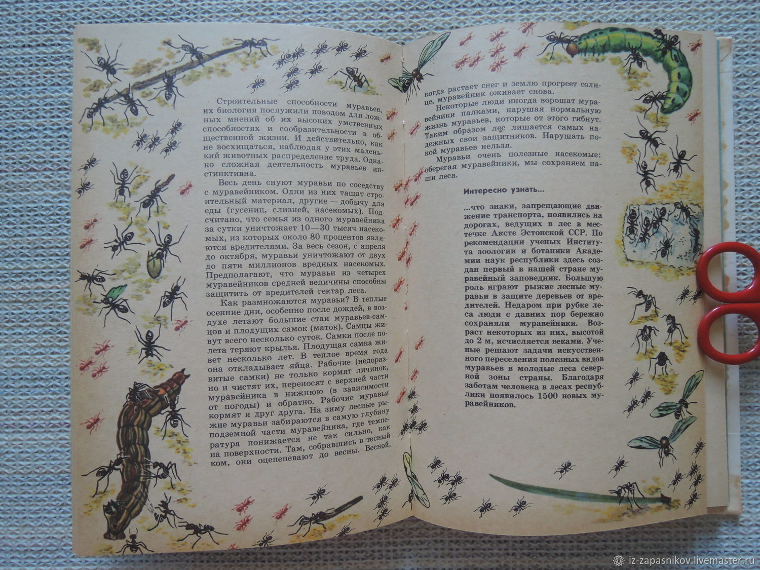 Винтаж: "Книга для чтения по зоологии". 1986г купить в интернет ...