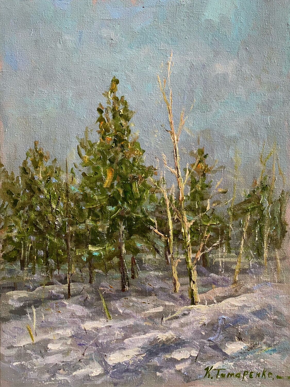 Картина маслом «Февральский лес», холст на картоне 40/30 см в интернет ...