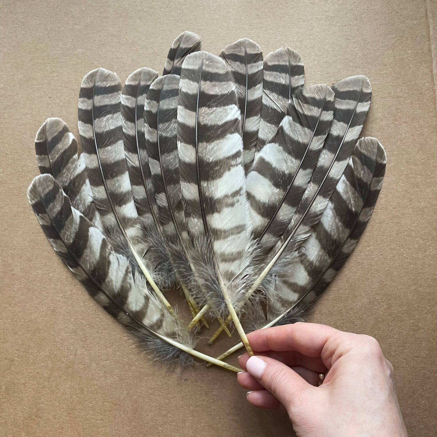 Перо серой совы купить в интернет-магазине Ярмарка Мастеров по цене 160 ...