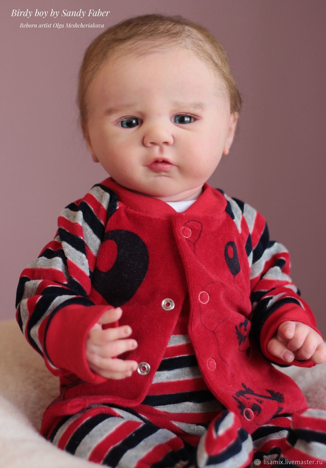 Кукла reborn Birdy boy от Sandy Faber купить в интернет-магазине ...