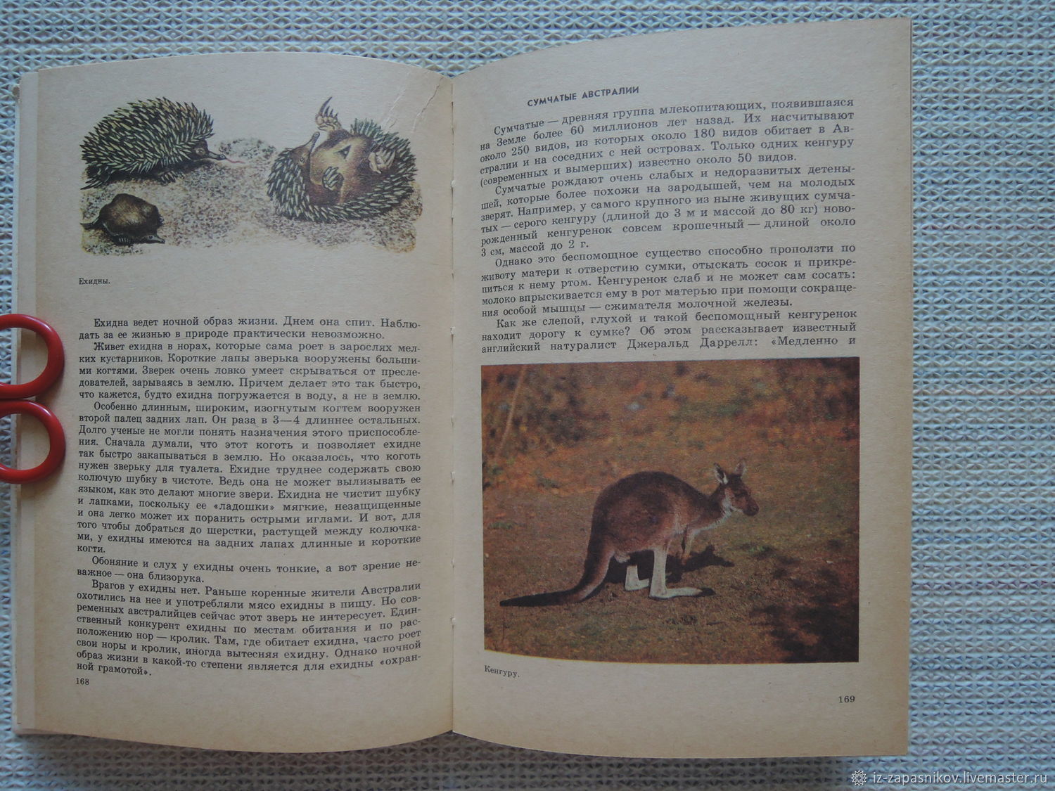 Винтаж: "Книга для чтения по зоологии". 1986г купить в интернет ...