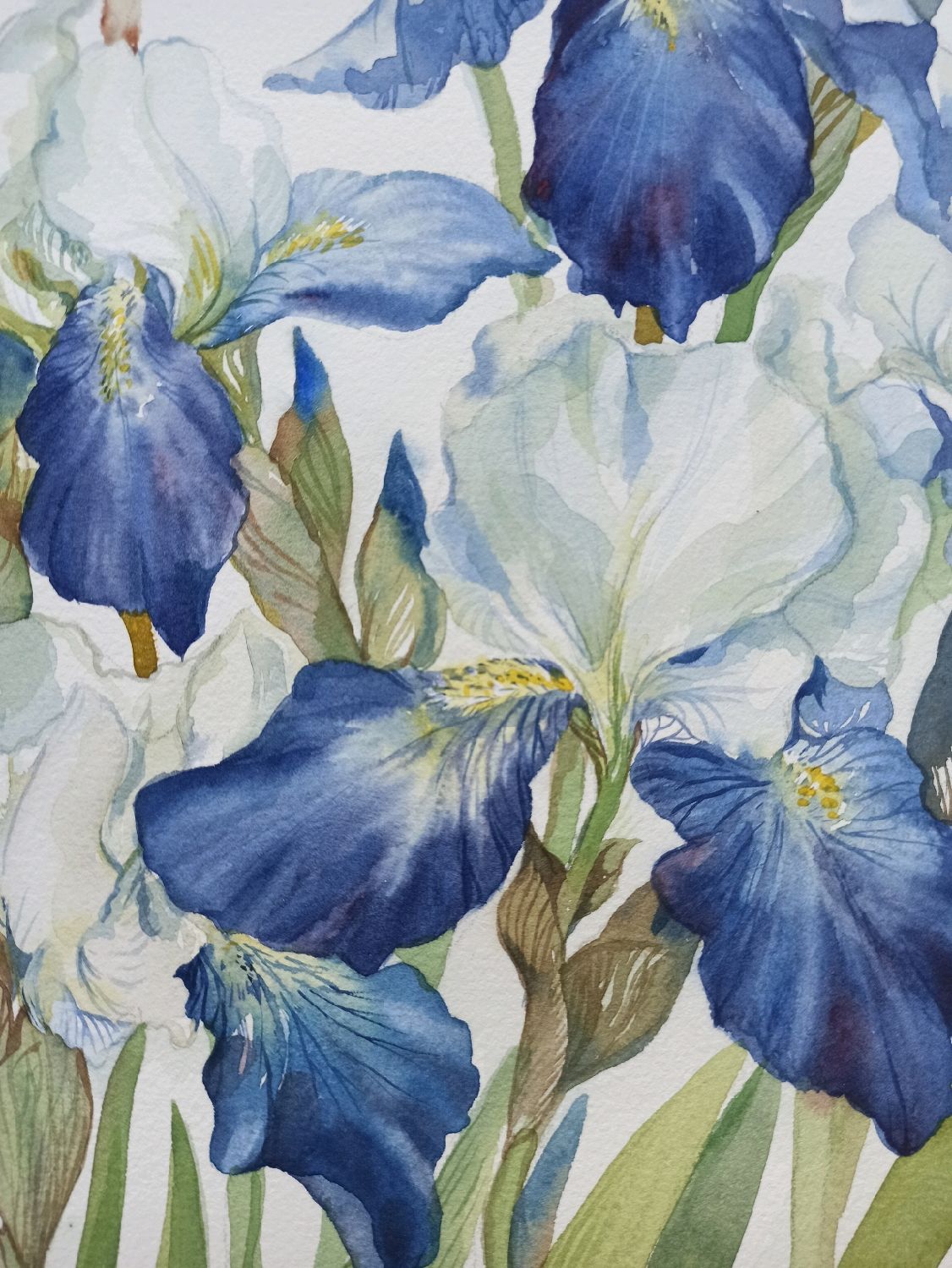 Картина акварель Букет ирисов цветы ирис купить в интернет-магазине ...