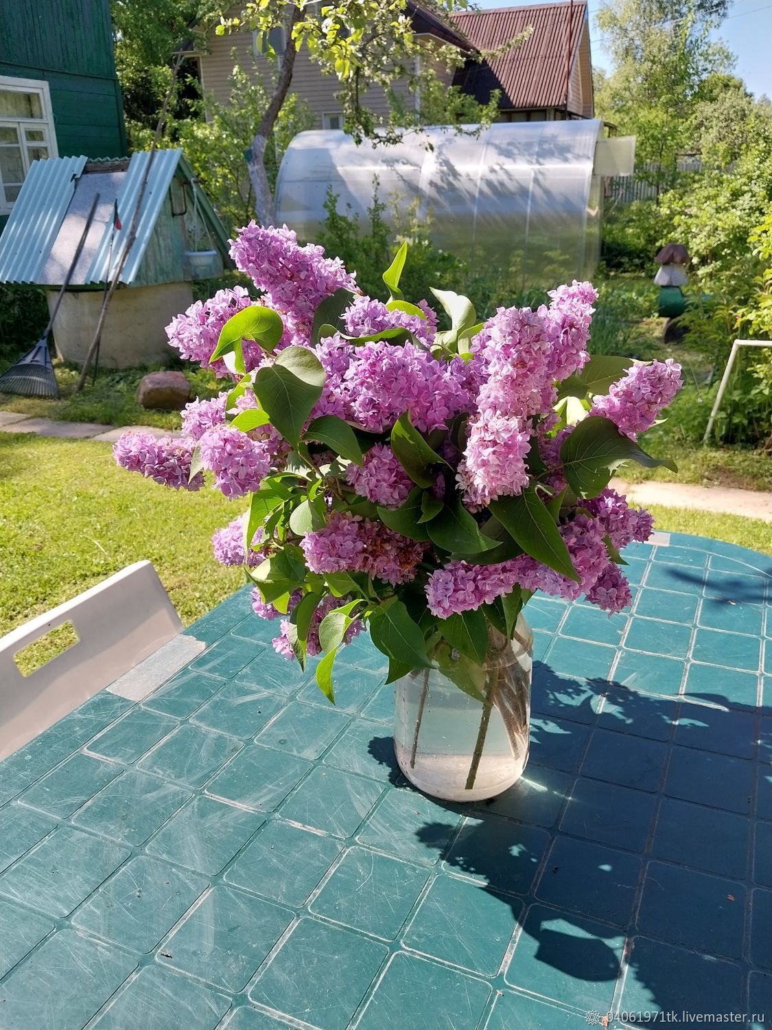 Травы: Сирень сушеная, сбор 2024 год в интернет-магазине Ярмарка ...