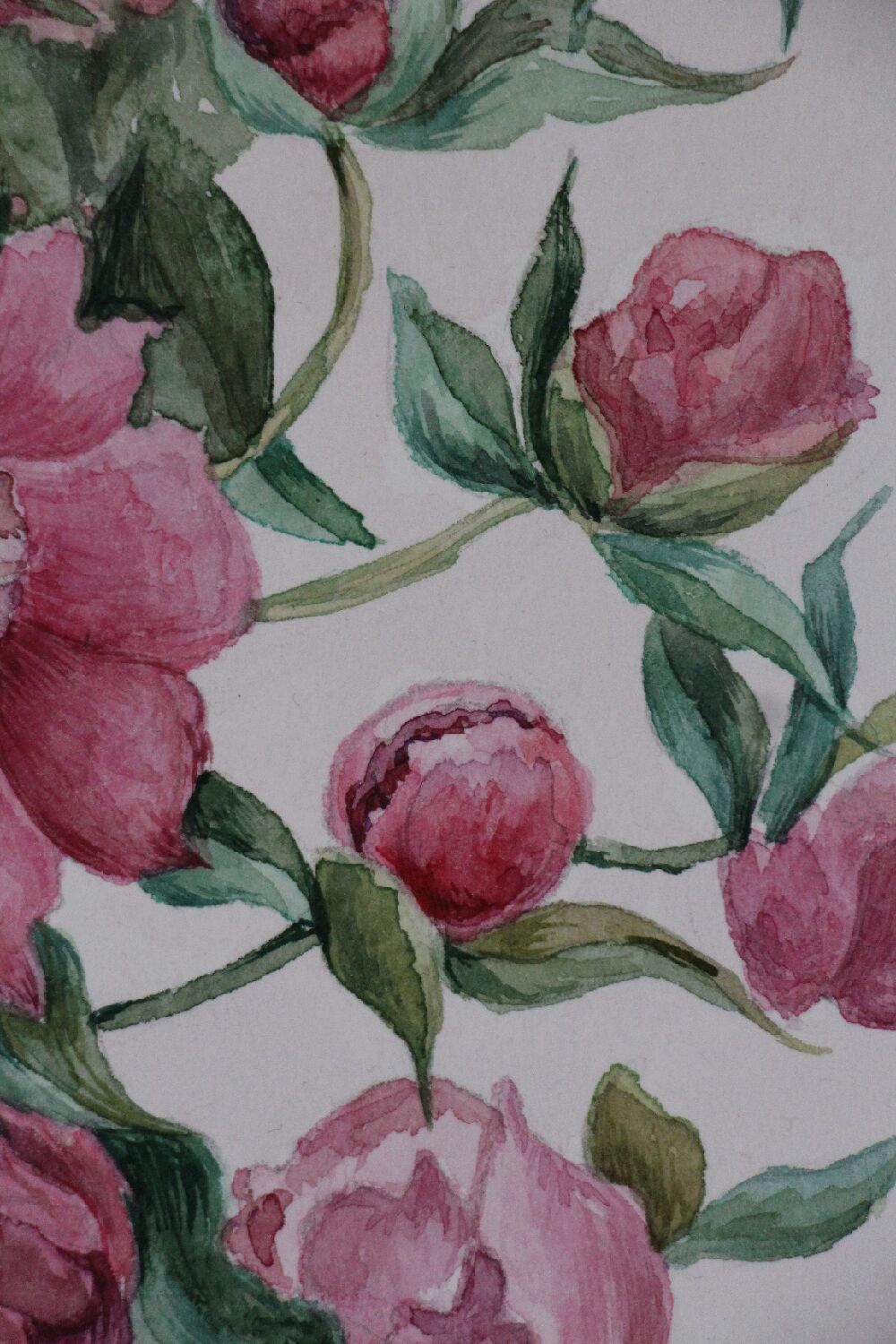 Акварель ПИОНЫ формат А4 в интернет магазине на Ярмарке Мастеров Картины Чебоксары