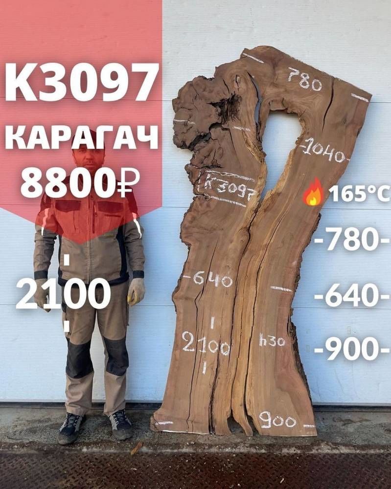 Слэб карагач тонкий древесина K3097 длина 2,1 м дерево – заказать на ...