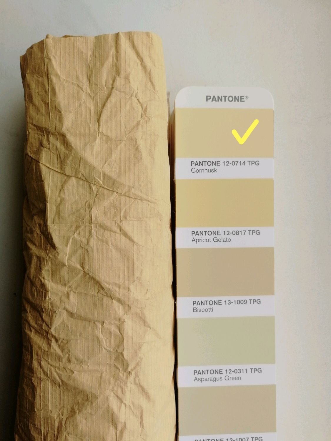 Тайвек tyvek тонкий 75г/м. Нюдовый в интернет-магазине на Ярмарке ...