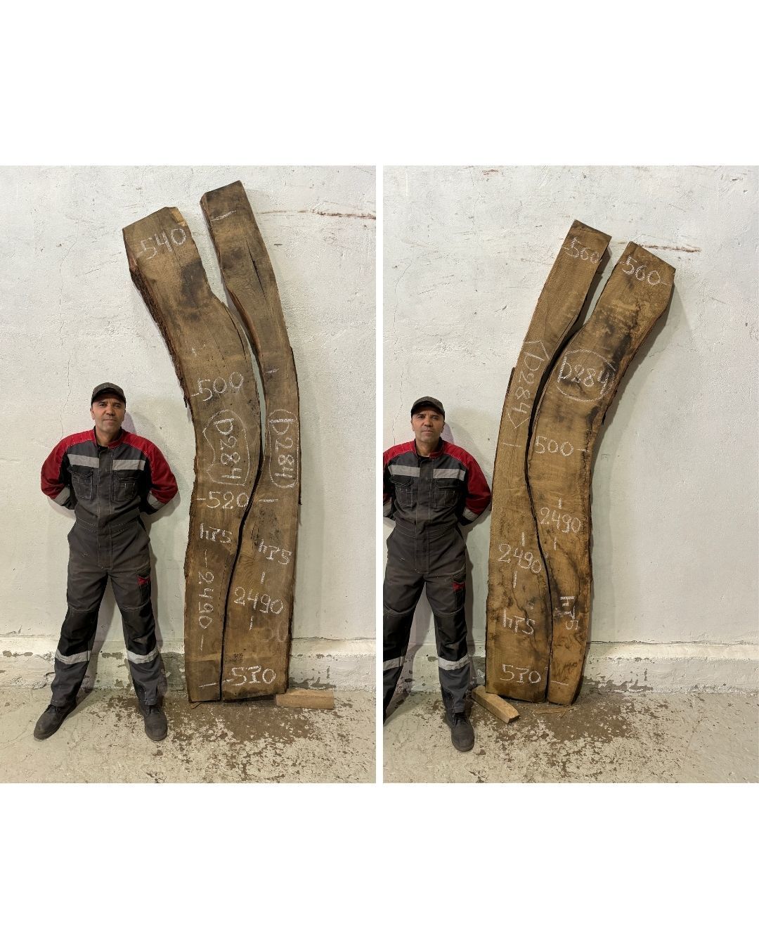 Слэб дуб высота 2,49 м дерево D284 древесина купить в интернет-магазине Ярмарка Мастеров по цене ...