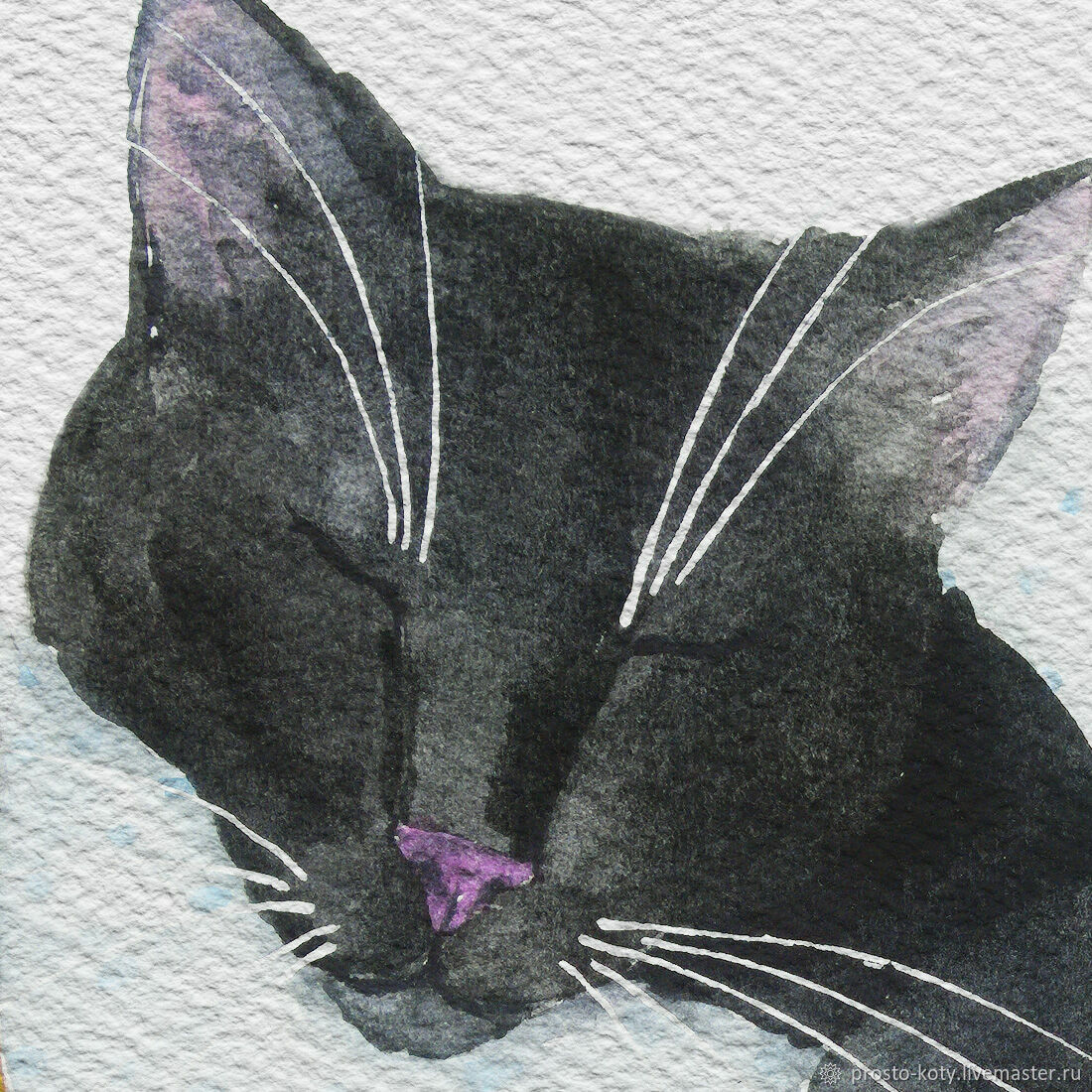 Чёрный кот спит, кот акварелью, картина с котом смешной кот в интернет ...