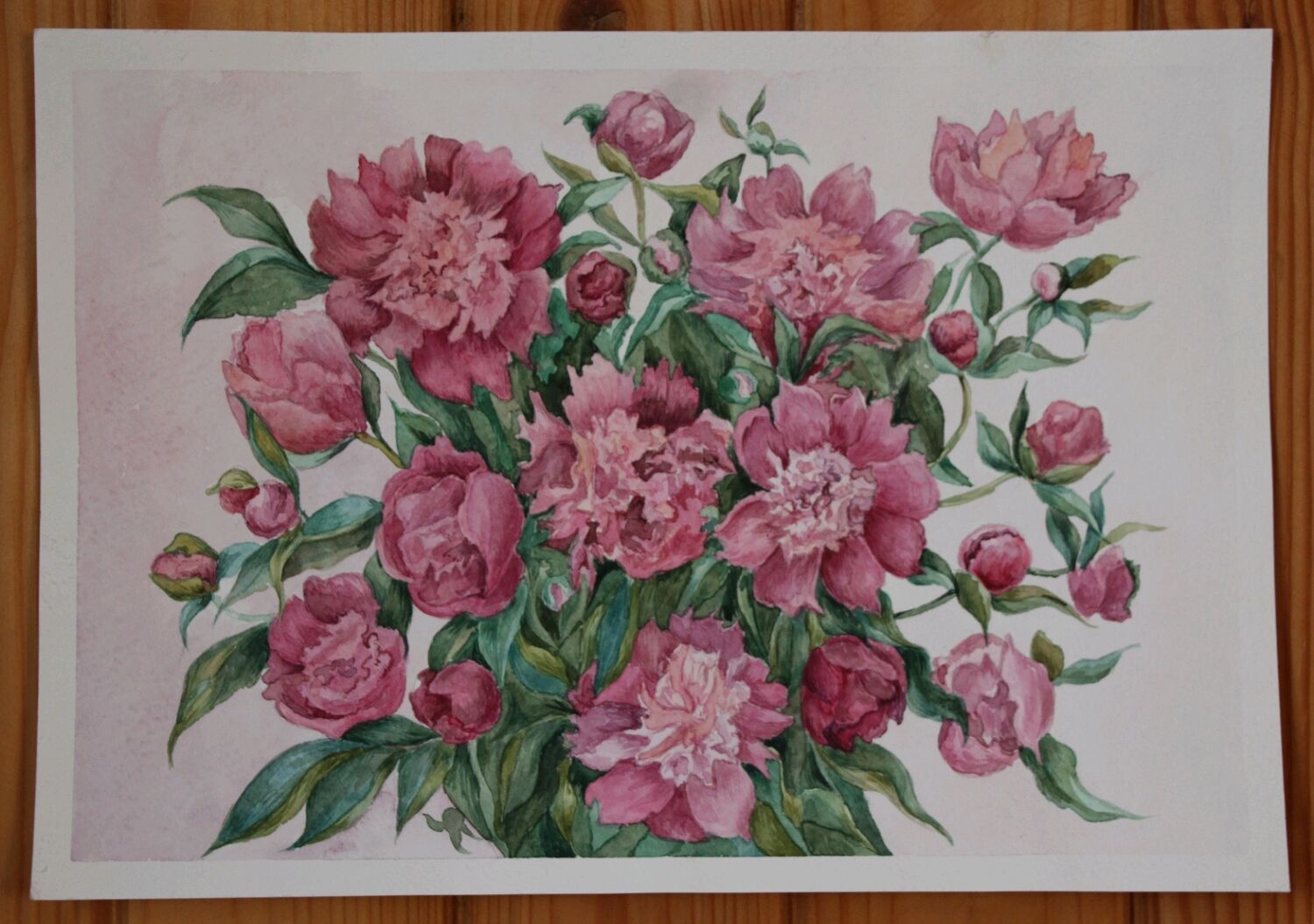 Акварель ПИОНЫ формат А4 в интернет магазине на Ярмарке Мастеров Картины Чебоксары