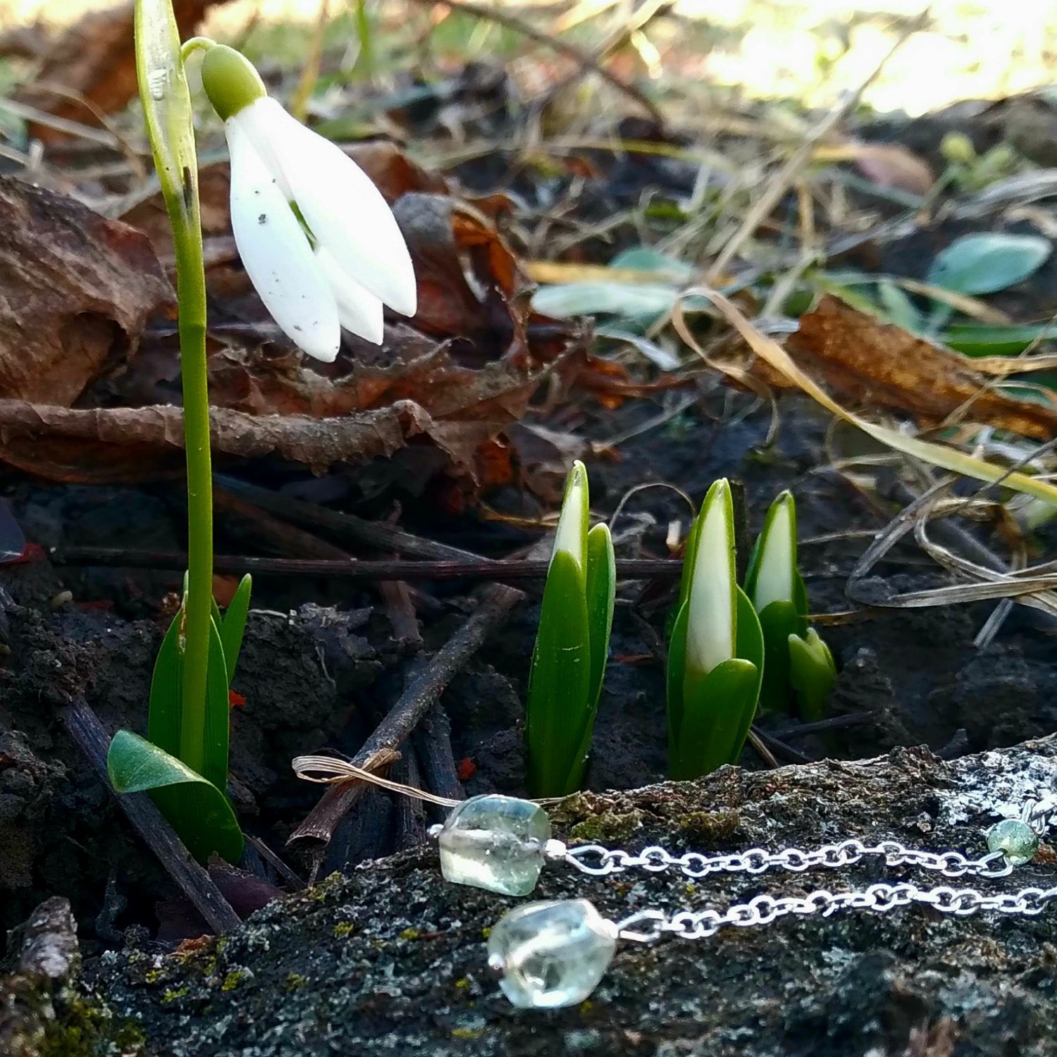 Серьги Viennese из турмалинов Турмалин верделит купить в интернет ...